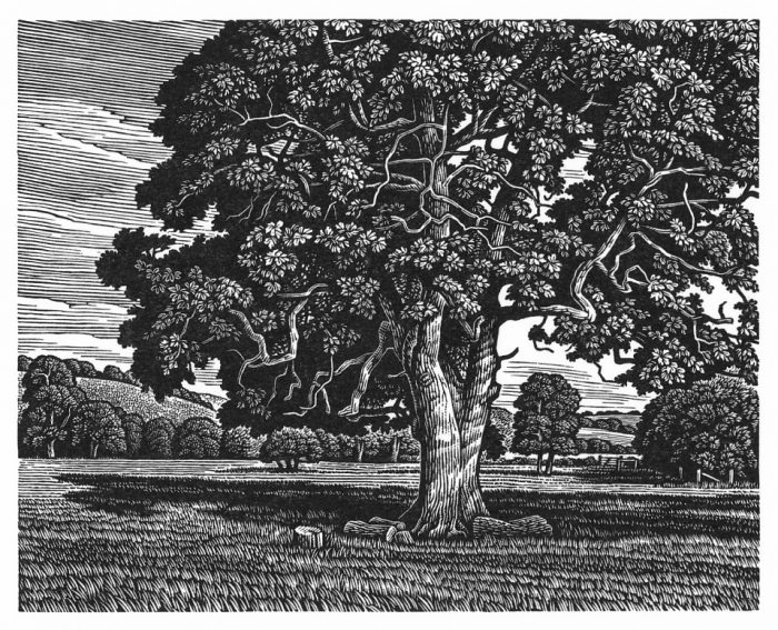 Wood Engravings – Howard Phipps