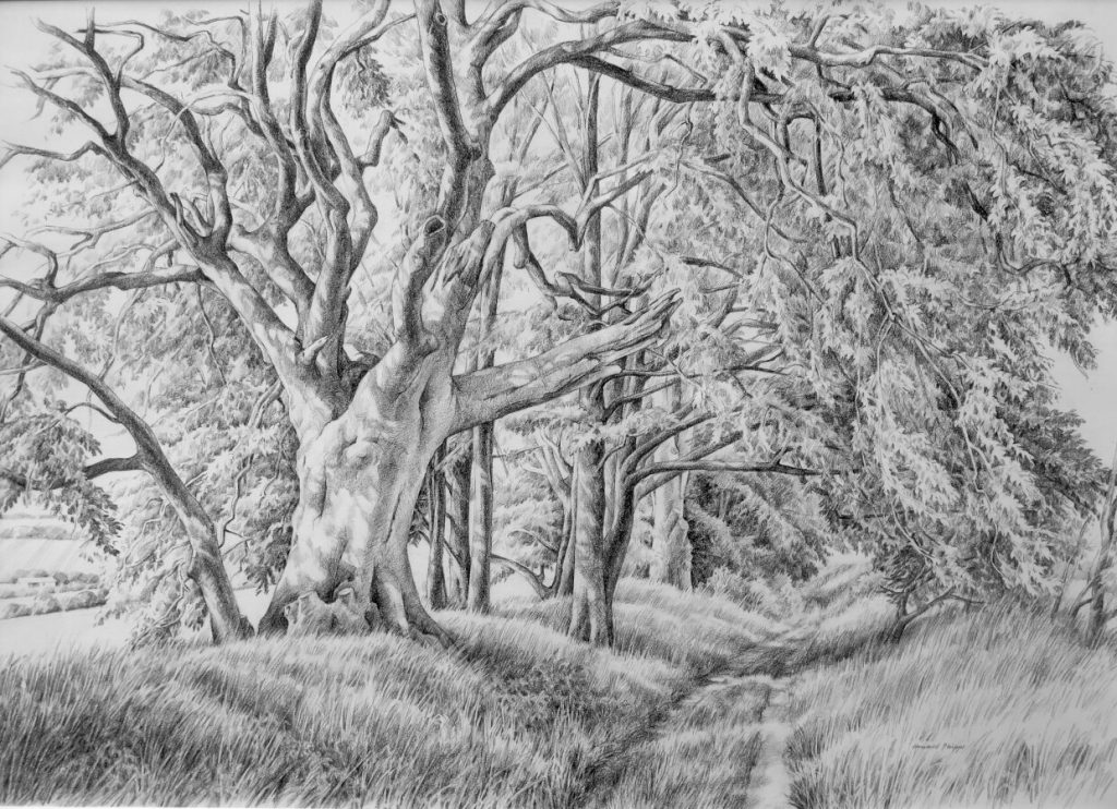 Drawings – Howard Phipps