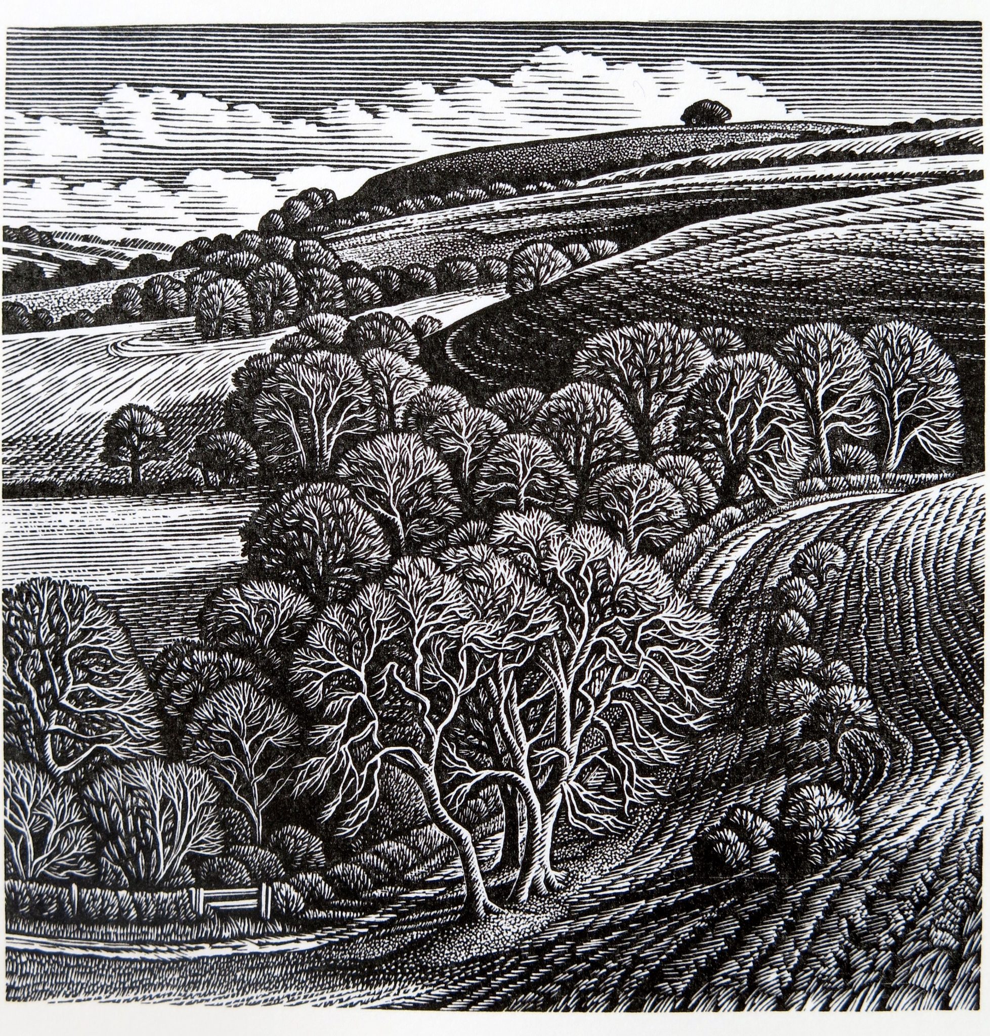 Wood Engravings – Howard Phipps