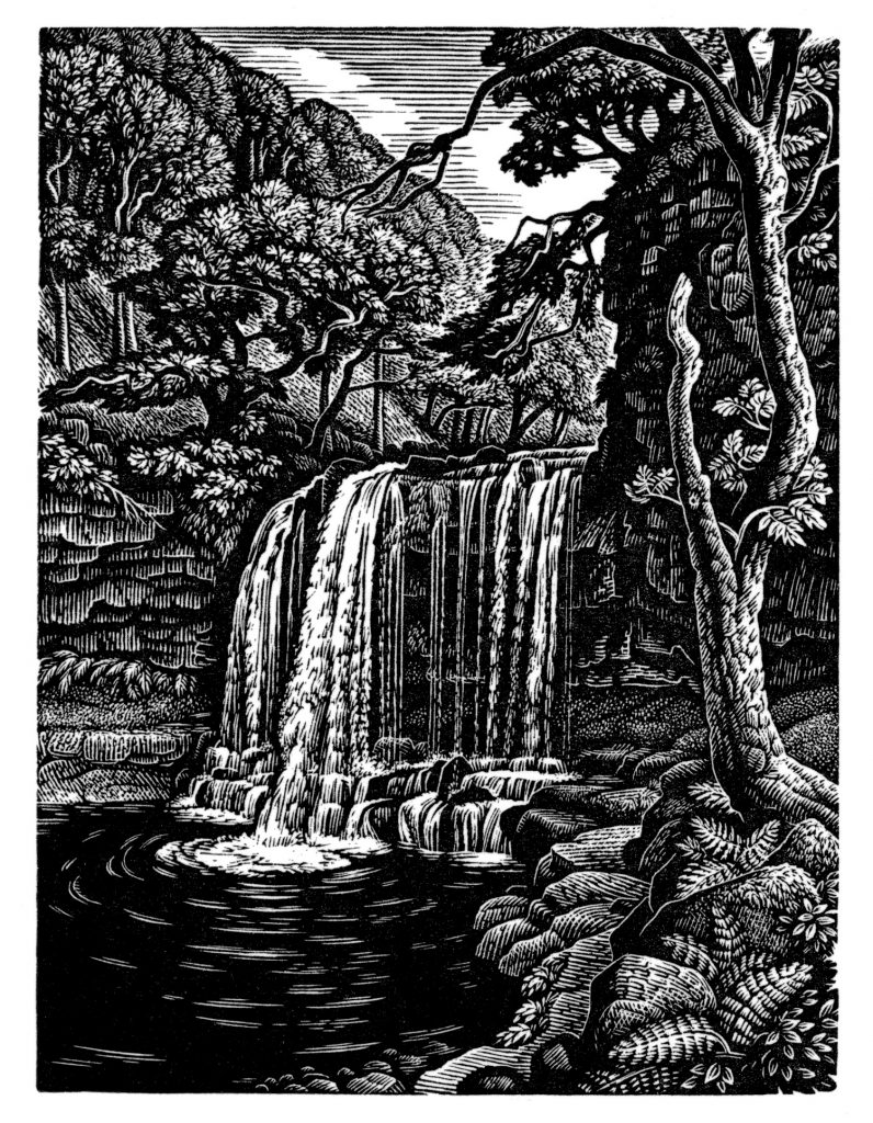 Wood Engravings – Howard Phipps